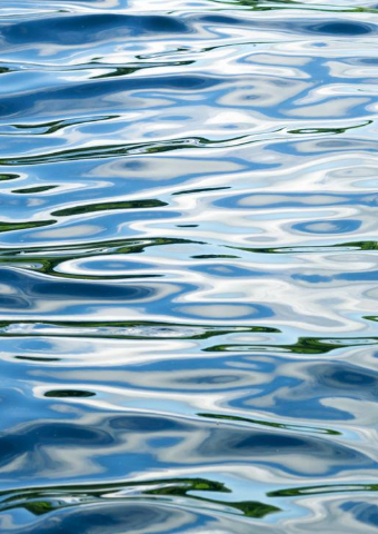 Reports and publications | Office for Environmental Protection