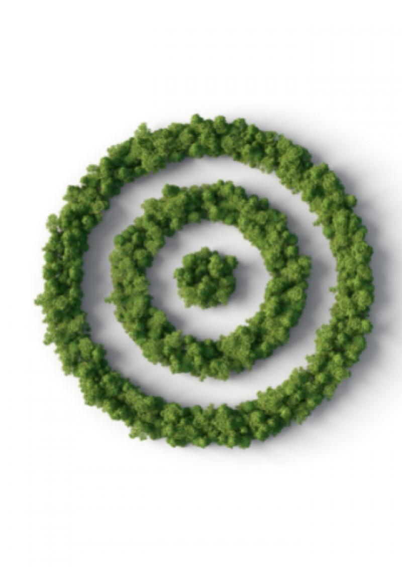 Reports and publications | Office for Environmental Protection